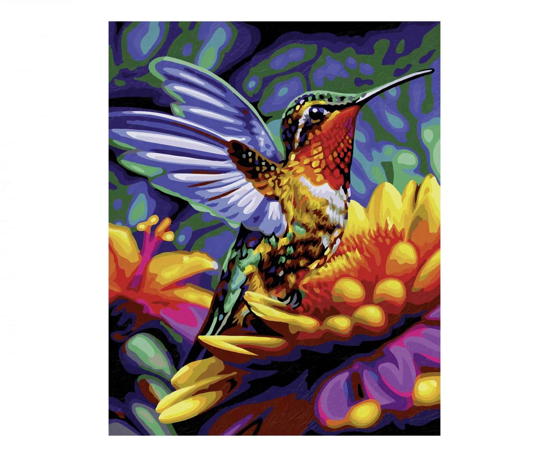 Peinture par numéros Schipper - Colibri