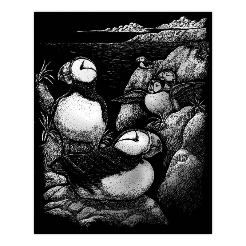 Peinture à gratter argent - Macareux